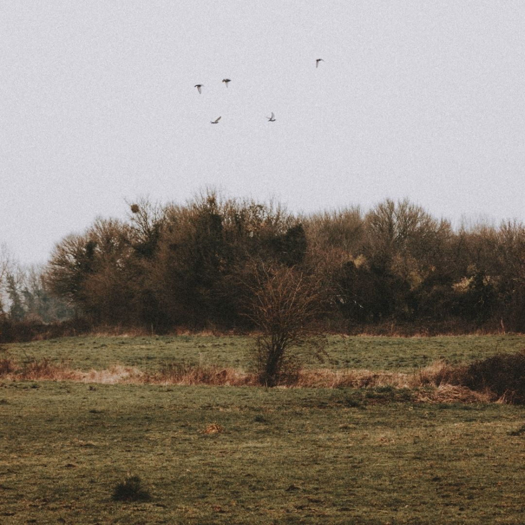 Dis/Comfort & The In-Between : Liminal Spaces | Field Notes Blog ...