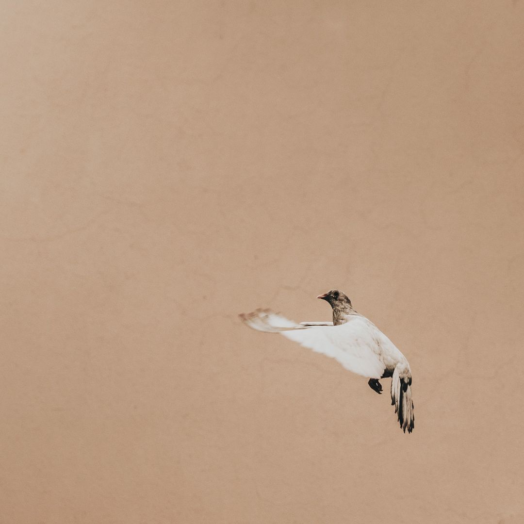 Do It Afraid - Learning to move fearfully forward | Field Notes Blog ...