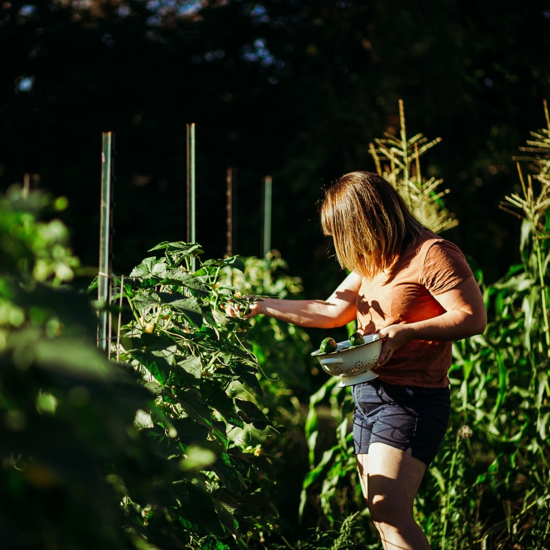 How We Grow | Coghlan Cottage Farm - Langley, BC
